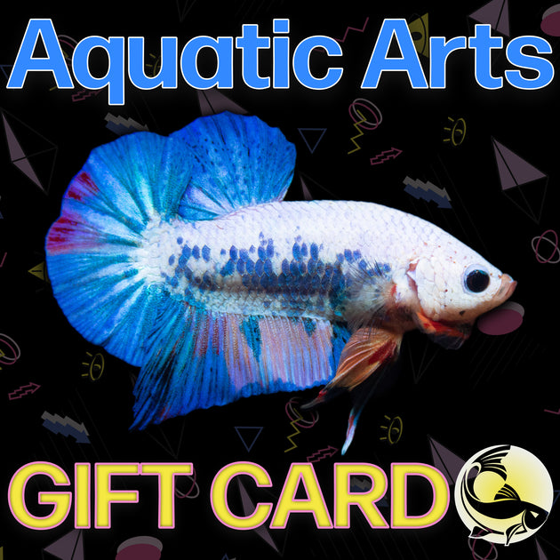 Gift Cards – Aquatic Arts