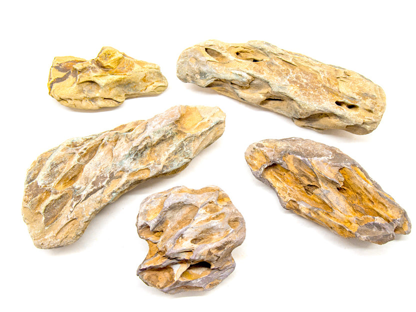 NATURAL Rainbow Moon Lace Rock AKA Holey Lace Rock - Aquatic Arts