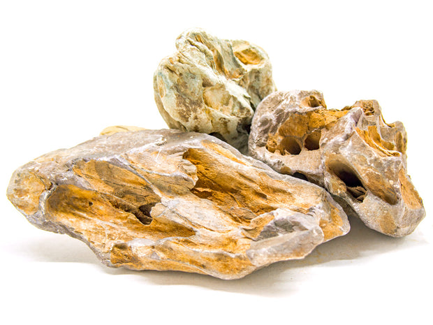 NATURAL Rainbow Moon Lace Rock AKA Holey Lace Rock - Aquatic Arts