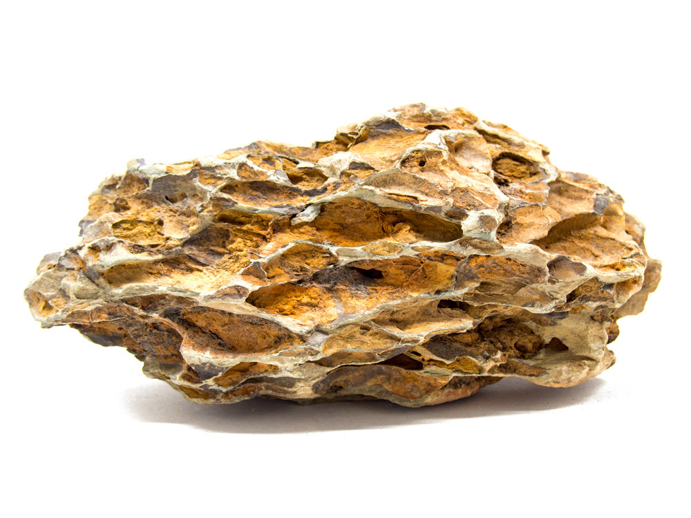 NATURAL Rainbow Moon Lace Rock AKA Holey Lace Rock - Aquatic Arts