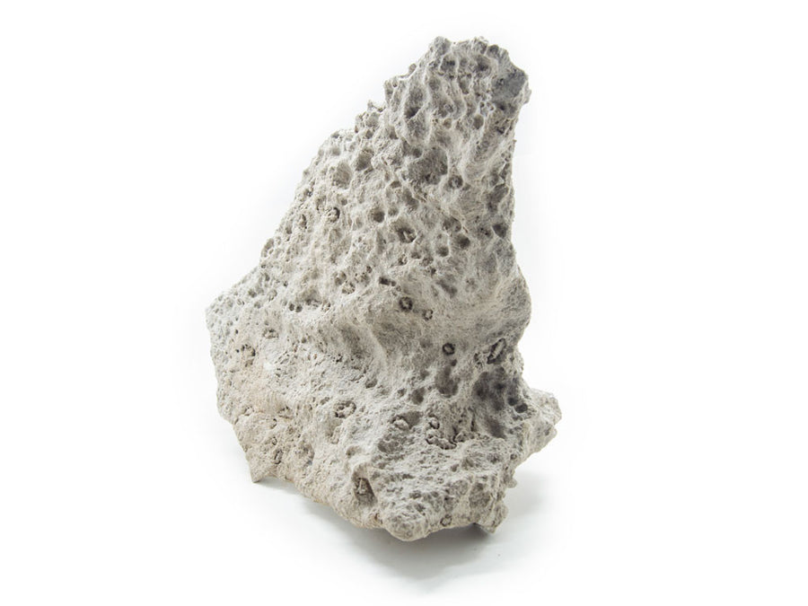 NATURAL Lace Rock - Aquarium / Terrarium / Bonsai Stone - Aquatic Arts